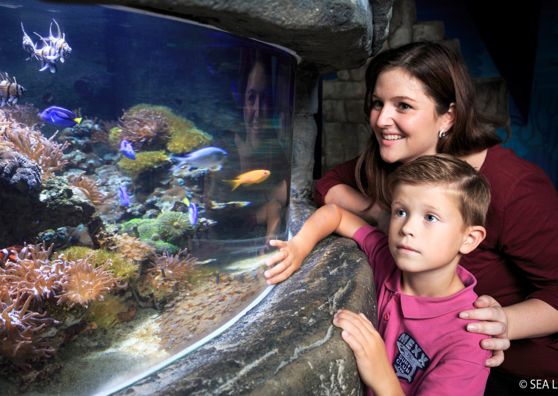 Sea Life Constance | Vorarlberg Lines