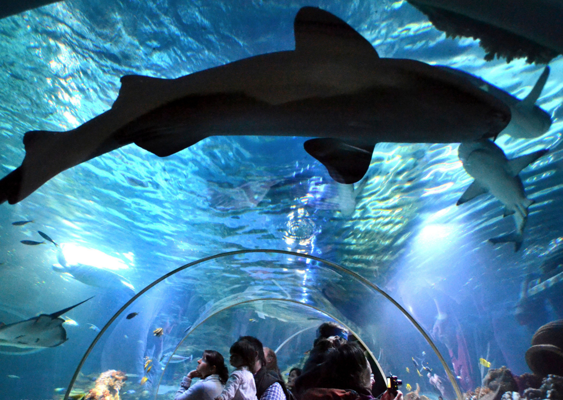 Sea Life Constance | Vorarlberg Lines