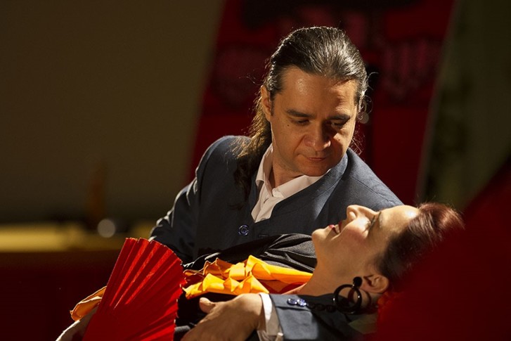 Vorarlberg Lines Bodenseeschifffahrt | Vorarlberg Lines